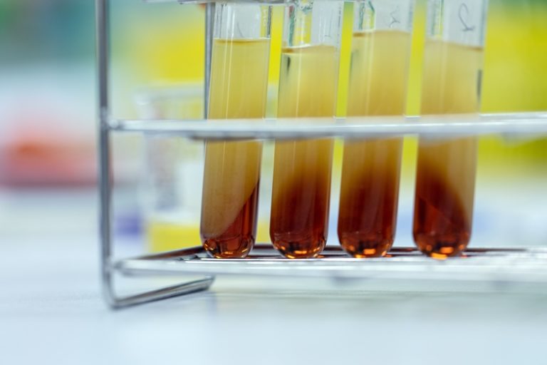 Eco-Friendly Biodegradable Hydraulic Oil & Plant-Based Grease Solutions